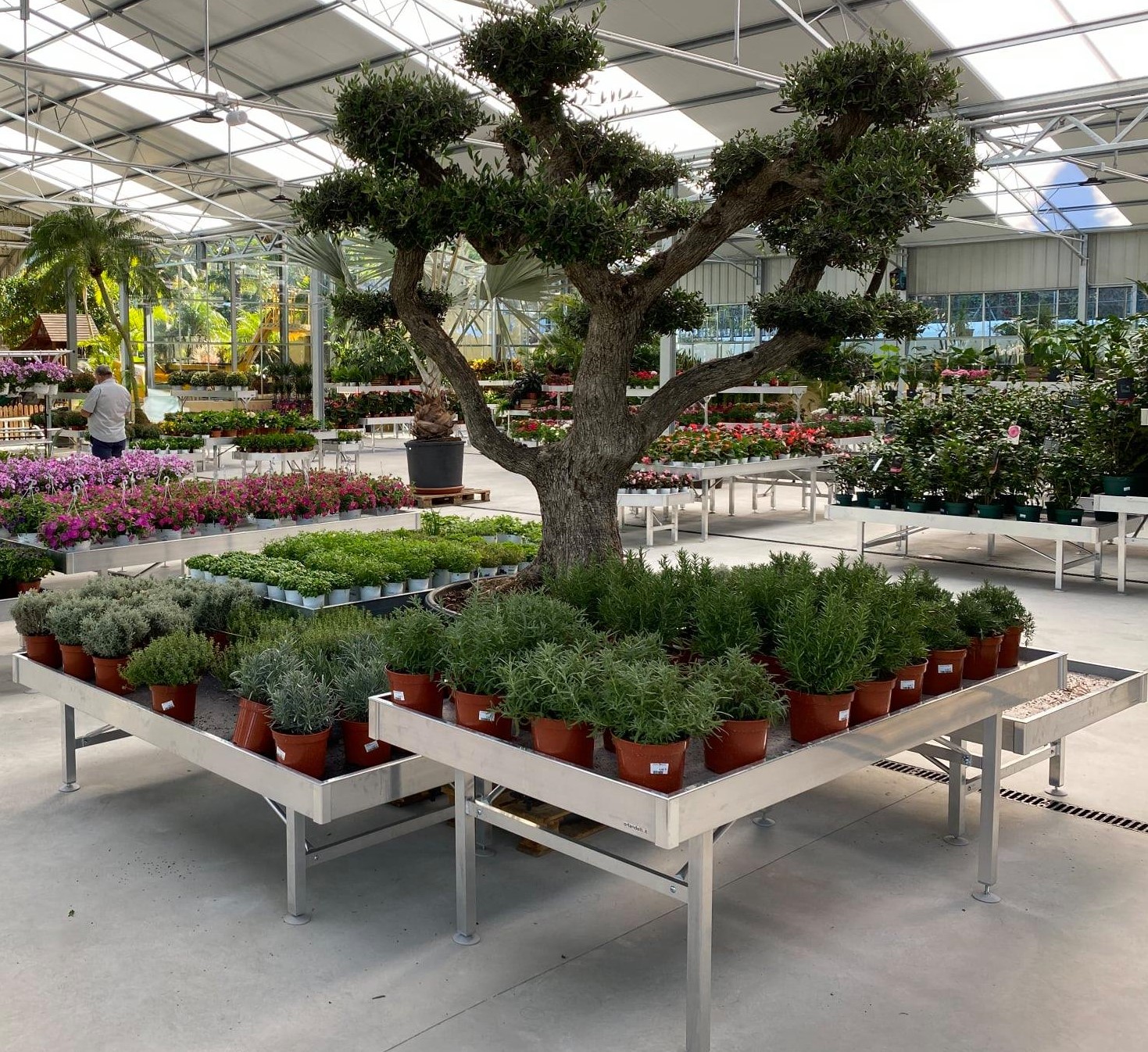 Furniture for plants and flowers, sale of garden center products, 3