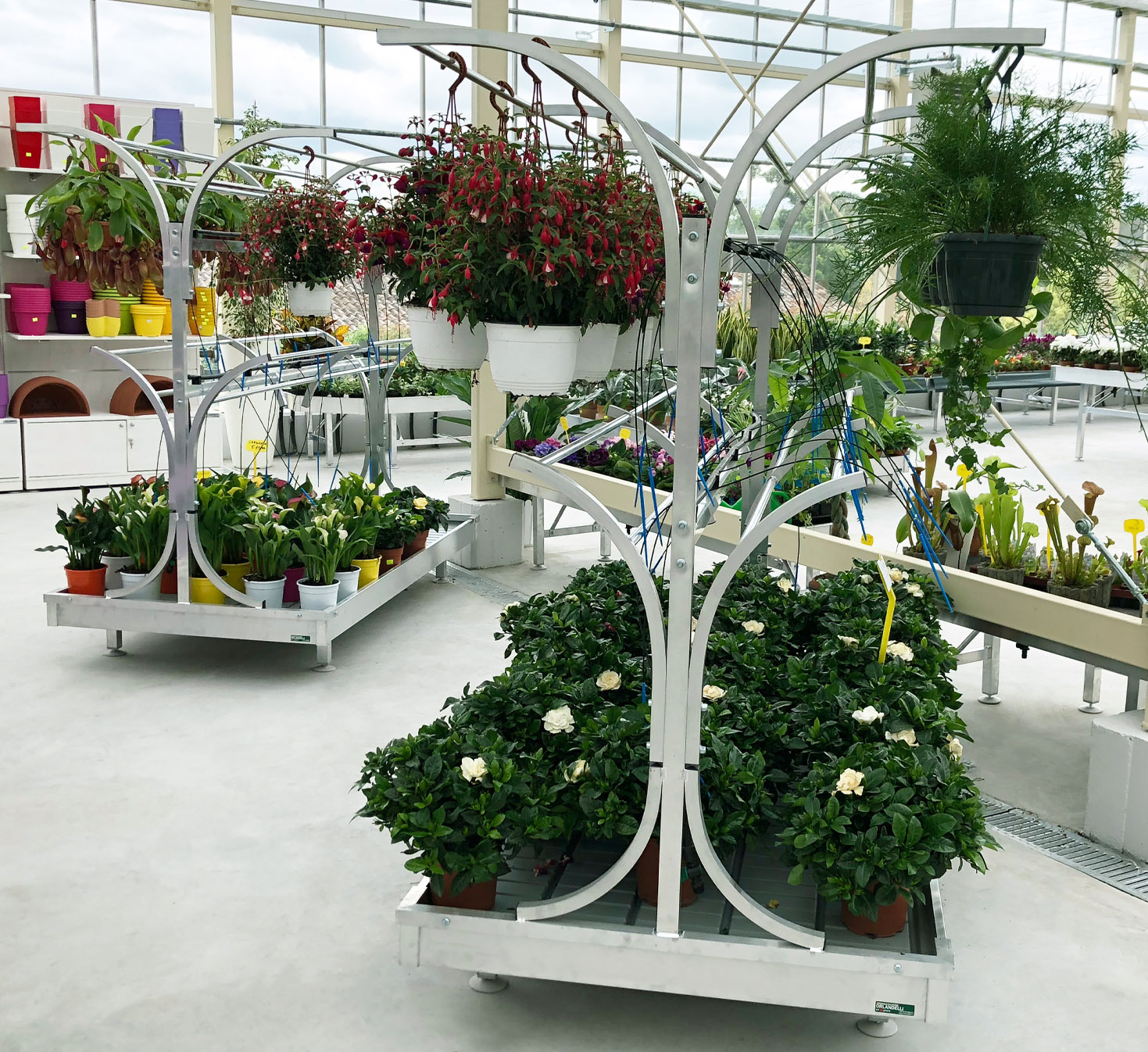 Chiringuito - pot plants display