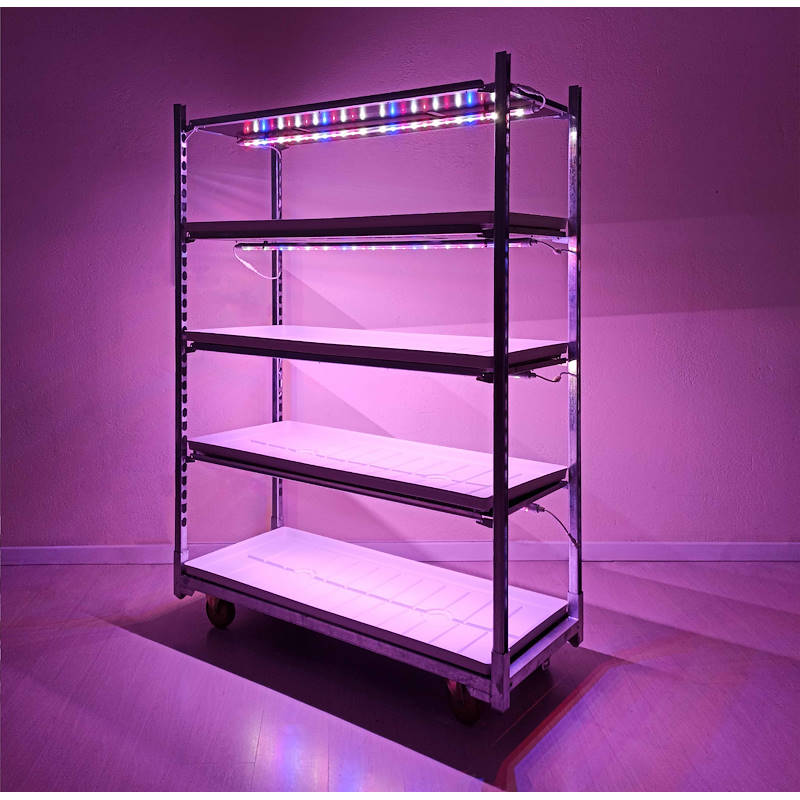 DC trolley with led lights kit for microgreens